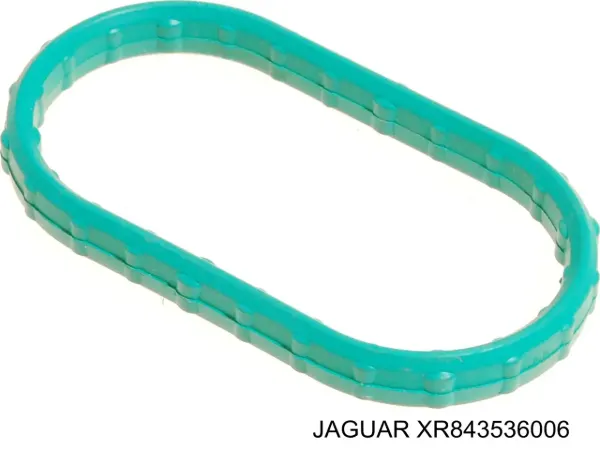 XR843536 Jaguar прокладка впускного колектора, верхня - купити онлайн в ...