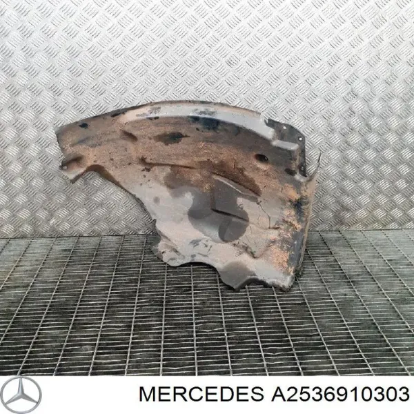 A2536910303 Mercedes підкрилок переднього крила, лівий задній - купити ...