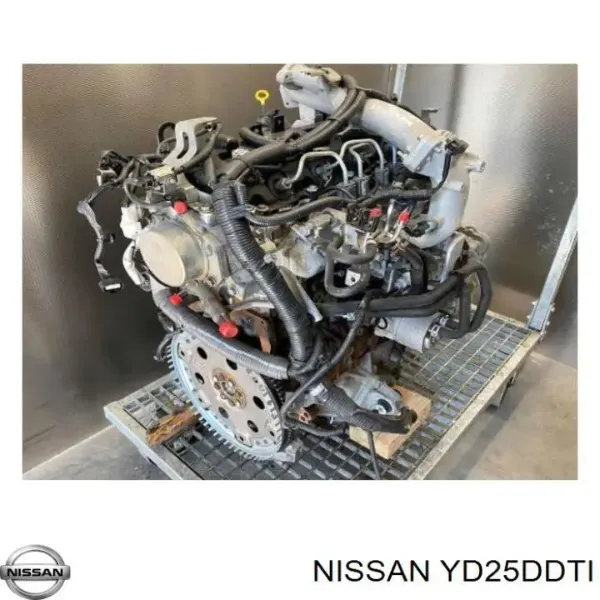 YD25DDTI Nissan/Infiniti двигун - купити онлайн в Україні